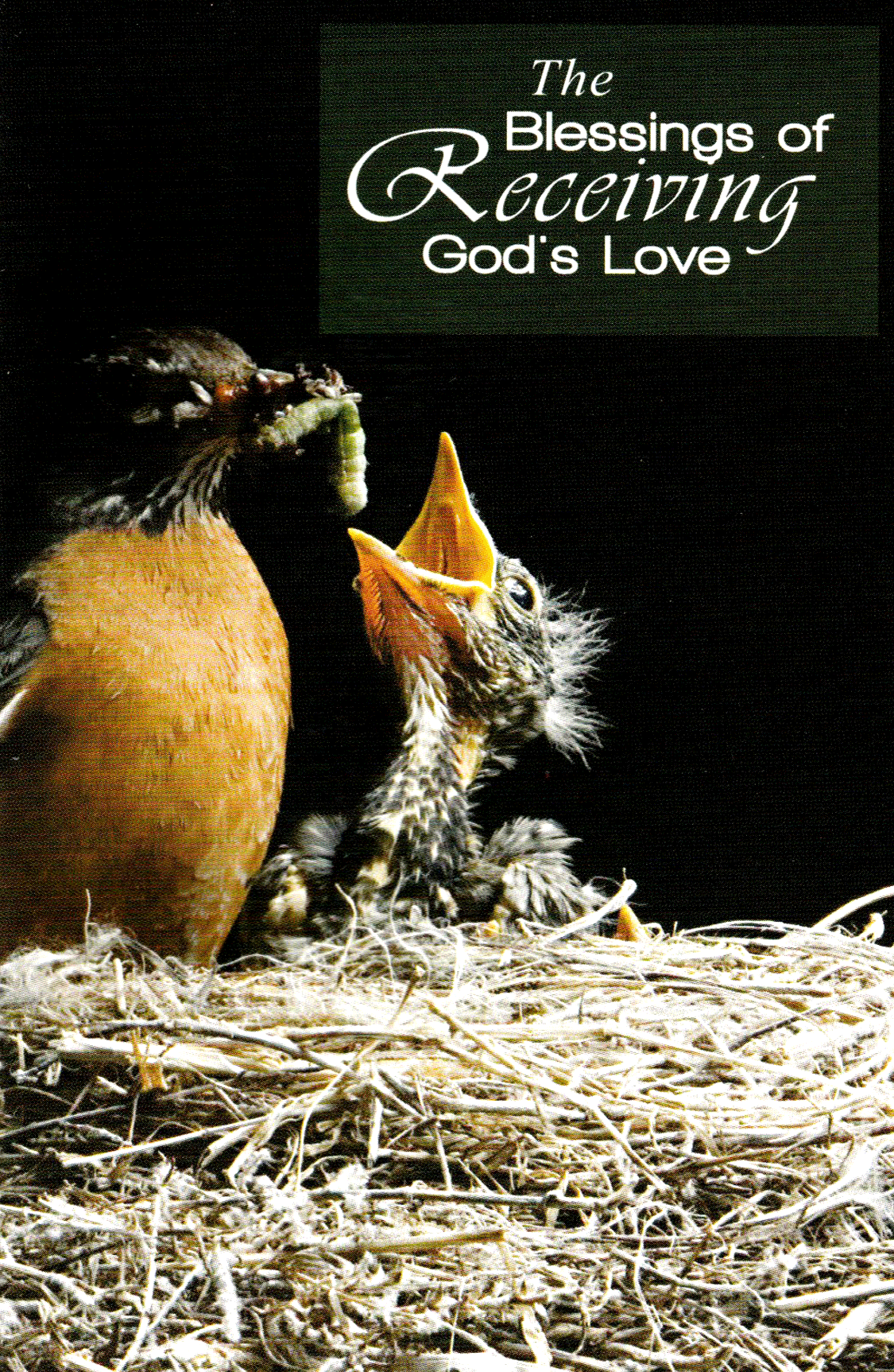 Resources | Alive Incorporated